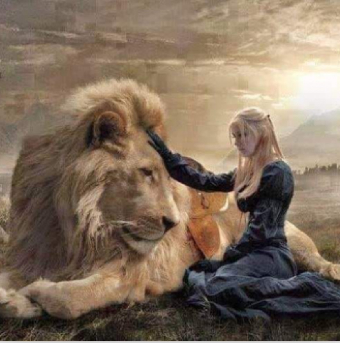 The Lion – “It's Amy,” I said.